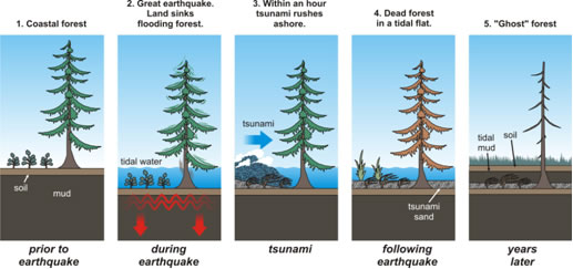 Co-Occurring & Cascading Hazards – Surviving Cascadia