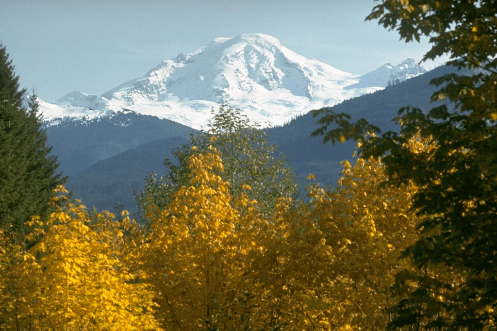 Volcanoes – Surviving Cascadia
