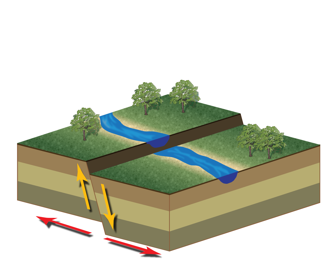Surviving Cascadia – Pacific Northwest Earthquakes and Tsunamis
