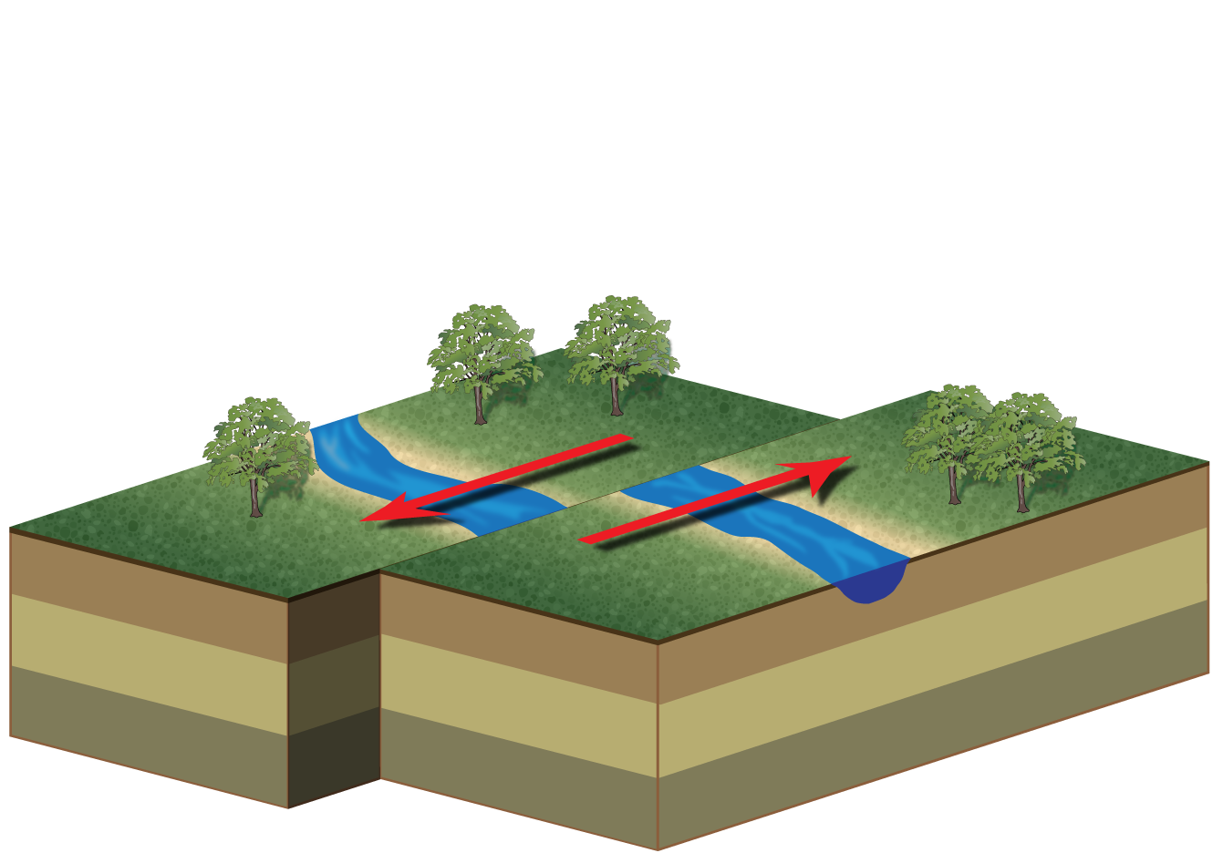 Surviving Cascadia – Pacific Northwest Earthquakes and Tsunamis