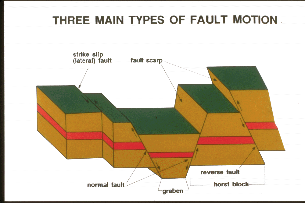 Faults – Surviving Cascadia