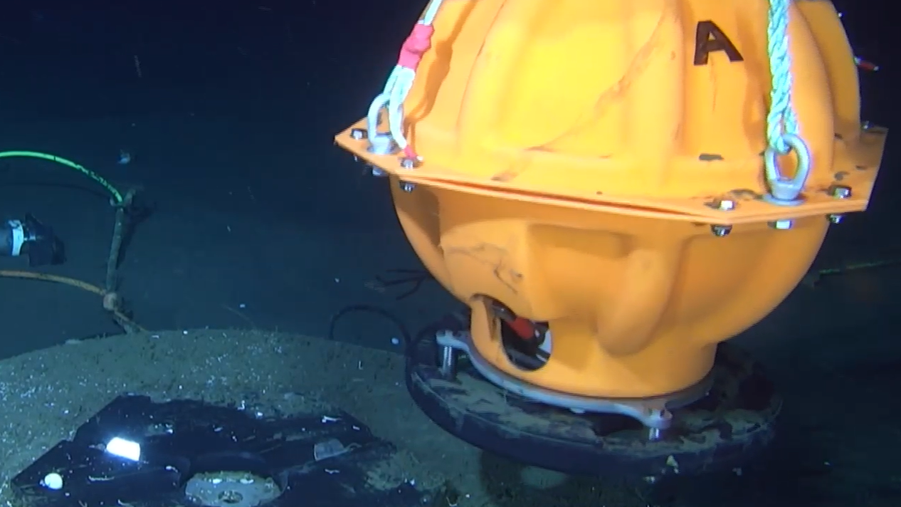 Watching Earthquakes Where They Begin – Surviving Cascadia